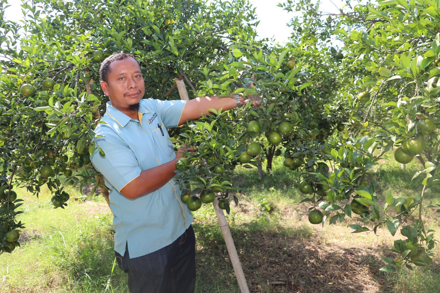 Politeknik Negeri Jember – Smart, Innovative, Professional